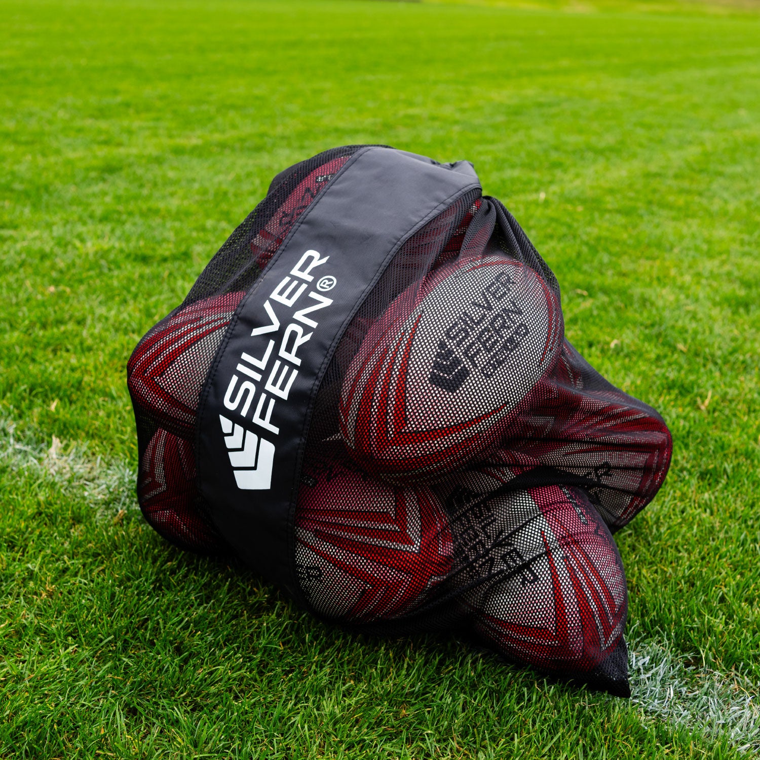 Rugby Union & League Ball Packs – Silver Fern